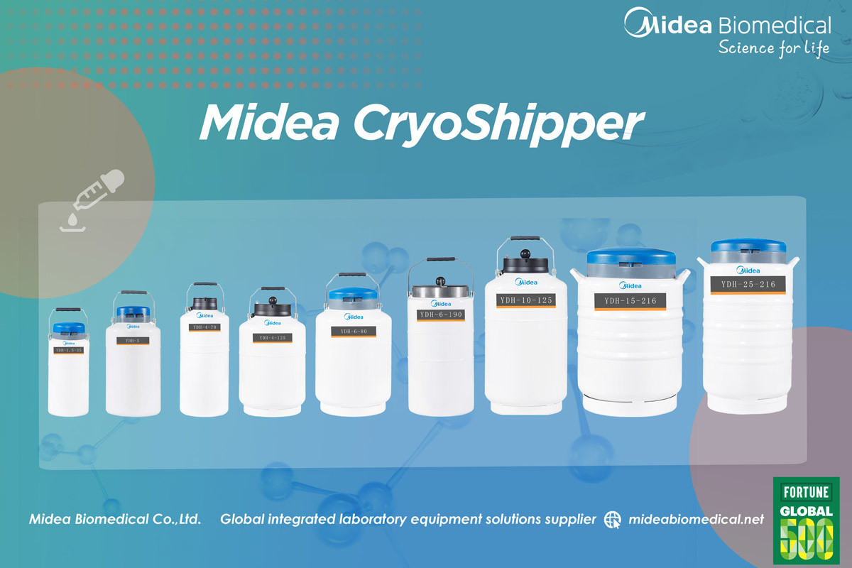 What is a liquid nitrogen dry shipper?